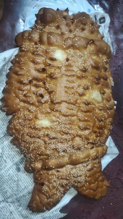 Big Fish Video Bigfishvideo Bigfish Fishsong Howtocatchfish