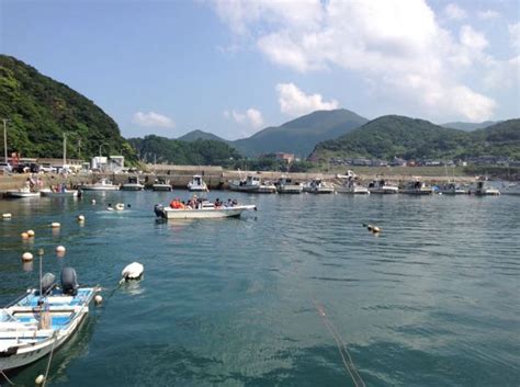 あじろ浜物語 Part 3 坊津 寺田屋の窓から 楽天ブログ