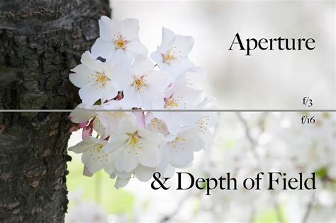 Aperture Examples