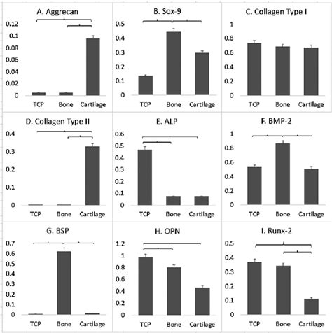 Relative Expression Of Chondrogenic And Osteogenic Genes On Tcp Control