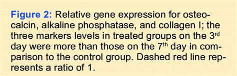 Relative Gene Expression For Osteocalcin Alkaline Phosphatase And