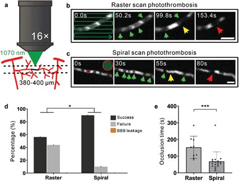 Precision 1070 Nm Ultrafast Laser‐induced Photothrombosis Of Depth‐targeted Vessels In Vivo