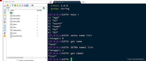Redis基础篇：redis常见命令与数据结构