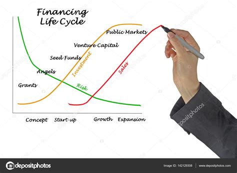 Financial Model Life Cycle At Wendy Rodgers Blog