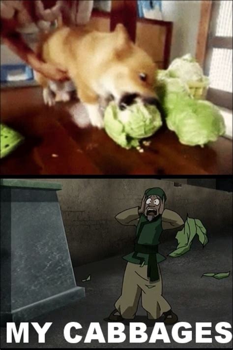 This Guy Just Cant Catch A Break Meme Guy