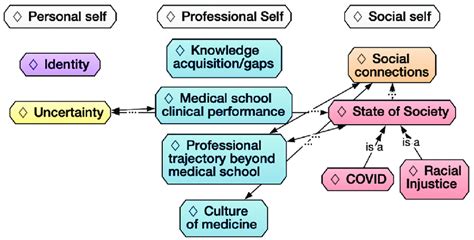 Categorization Of Codes Within Schemas Of Participants Download