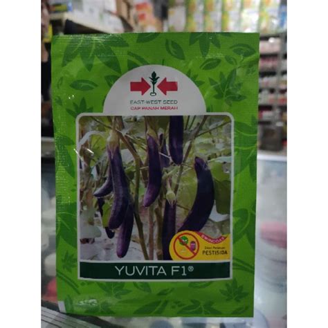 Jual Benih Terong Ungu YUVITA F1 1100 Butir Terung Ungu Dari Panah