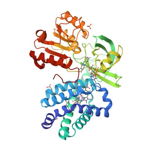 Rcsb Pdb 3ozv The Crystal Structure Of Flavohemoglobin From R