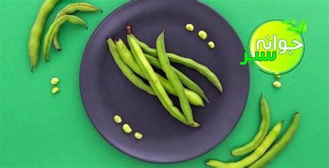 خواص لوبیا سبز و جلوگیری از پیری زودرس و عفونت با لوبیا سبز آموزشگاه جوانه سبز