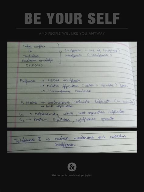 The Forgotten Phases Nuclear Membrane Organelles Membrane