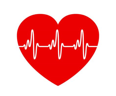 380 The Human Heart Diagram Backgrounds Stock Illustrations Royalty