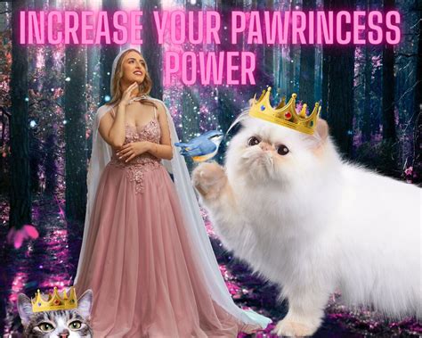 Pawrincess Psychic Reading Increase Your Pawrincess Power Because You