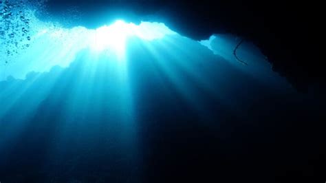 Docker Composeとは？dockerとの違いを初心者にもわかりやすく徹底解説！【2025年最新動向と今後の展望】 Nicoras