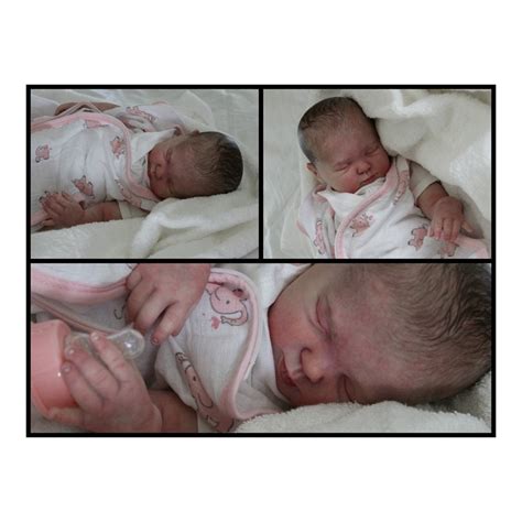 Rose By Donna Rubert