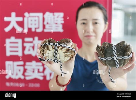 A Chinese Customer Shows Hairy Crabs Bought From A Vending Machine At