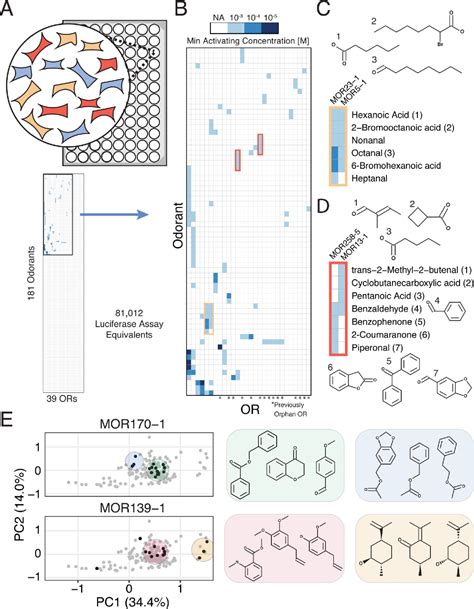Figure 2 From A Scalable Multiplexed Assay For Decoding Gpcr Ligand
