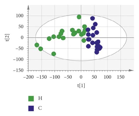 Group Es Pca Score Plot Opls Da Score Plot And Permutation Test Plot