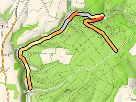 Dalby Forest Maze Desde Low Dalby Perfil Del Ascenso