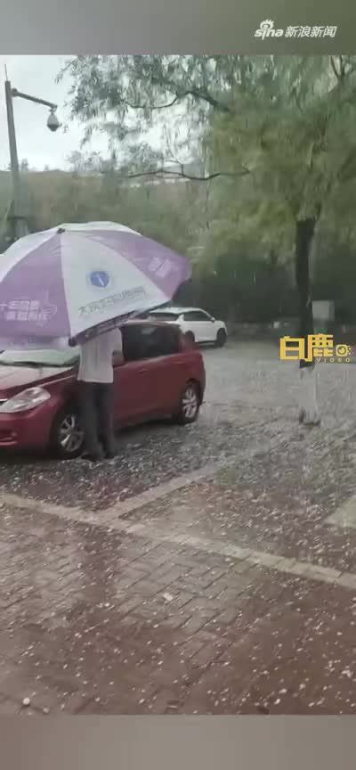 大庆突下冰雹，大哥撑大型雨伞为爱车挡冰雹手机新浪网