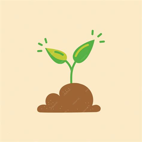 Plante à Germer Dans Le Sol Avec Des Feuilles Petite Pousse Verte Dans