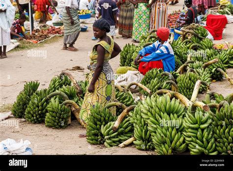 Uganda Kasese District Katwe Katwe Market Women Selling Matooke