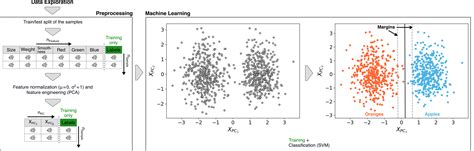 the machine learning workflow for classification tasks by musiq etn