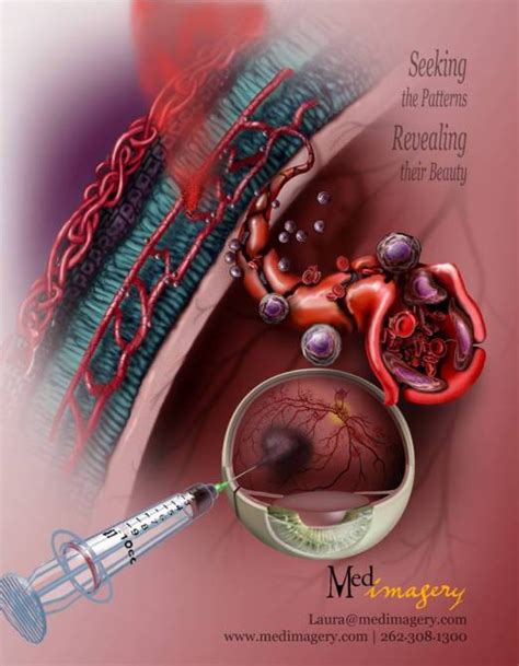 Medical Illustration Gallery Exploring Science Through Art