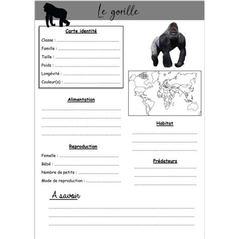 Fiche identité animaux