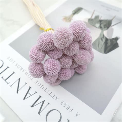 Billy Button Floral Forest Wholesale