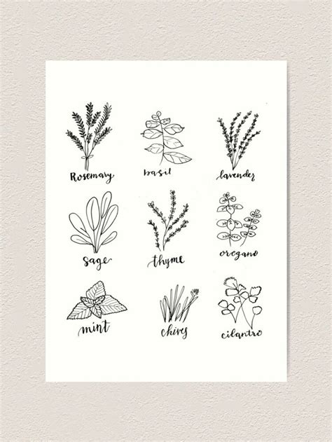 Ink Herb Doodles Art Print By Starbucksjoy Redbubble Herb Sketch