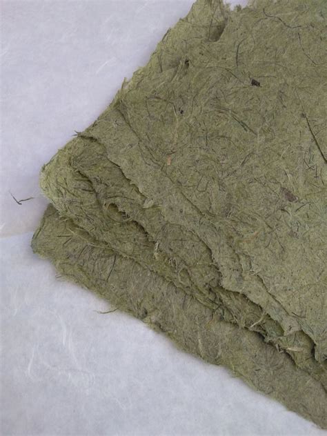 Lawn Grass Paper Handmade Paper Grass Paper Handmade Paper Plant