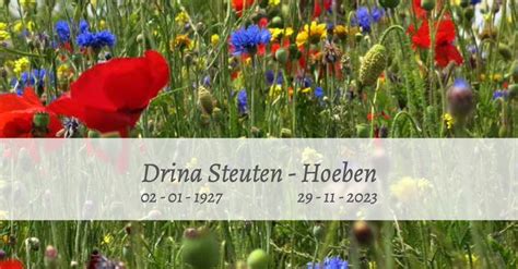 Overlijdensbericht Drina Steuten Hoeben † Nederweert24