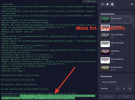 Hướng dẫn chạy node Shardeum CryptoViet