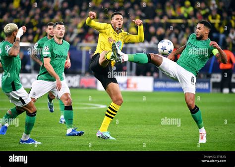 Champions League Signal Iduna Park Dortmund Borussia Dortmund Vs