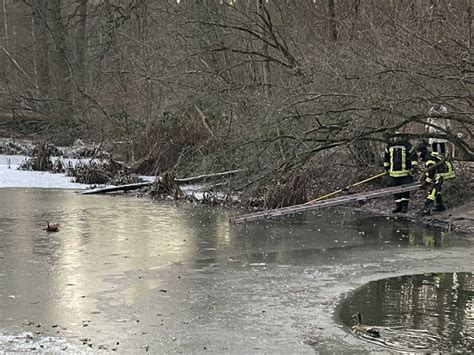 Helmstedt Feuerwehr Rettet Festgefrorene Ente RegionalHeute De