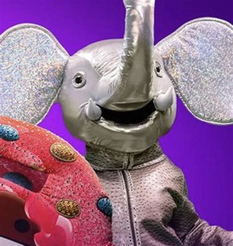 Elephant Sa The Masked Singer Wiki Fandom