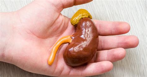 Acute Renal Failure An Overview