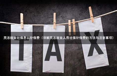 灵活就业社保怎么补缴费（详解灵活就业人员社保补缴费的方法与注意事项） 灵活用工代发工资平台