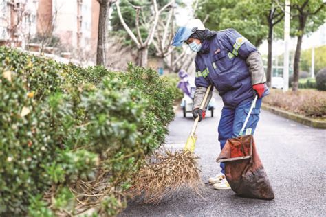 图片新闻 松江报