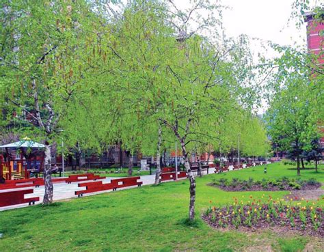 Обновено е зеленилото во повеќе делови на Центар Truthmeter