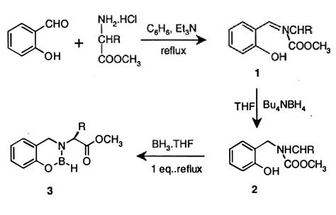 Figure 3 From Synthesis Of Novel Chiral Auxiliaries Semantic Scholar