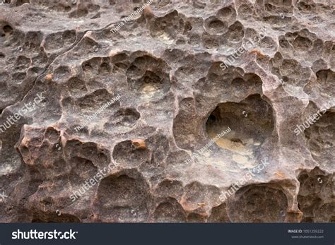 Closeup Igneous Rock Texture Yehliu Geopark ภาพสต็อก 1051259222