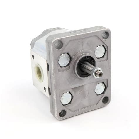 Bondioli And Pavesi Hplpa119dddg3g3b00 Pumpe Spares4less Low Cost
