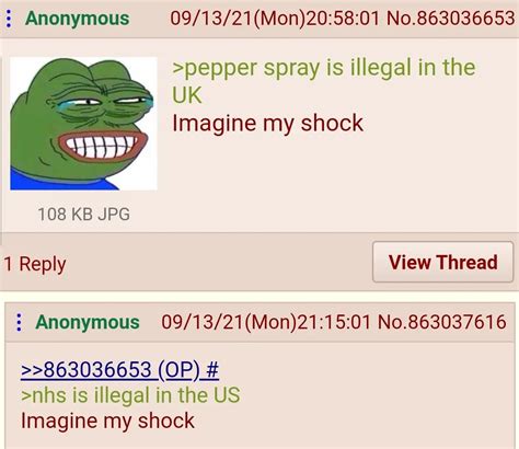 Anons Self Destruct Scrolller