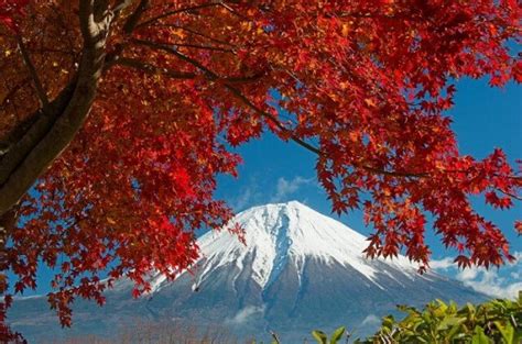左富士写真館