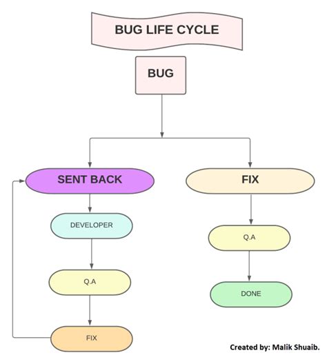 Topic Linear Bug Cycle By Malik Shuaib
