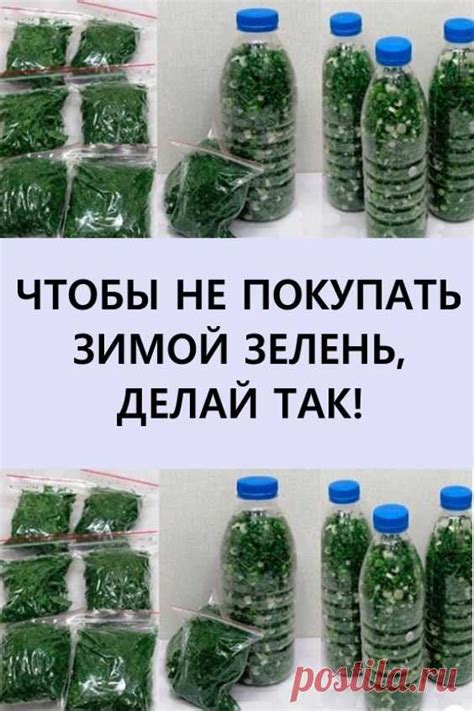 Чтобы не ПОКУПАТЬ зимой ЗЕЛЕНЬ делай так Замораживаем даже зеленый л