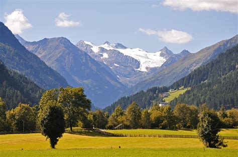 Banco De Imagens Panorama árvore Natureza Região Selvagem Inverno