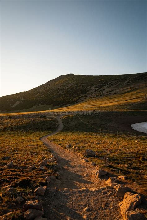 Vertical Shot Of Mount Rainer National Park Covered In Greenery During