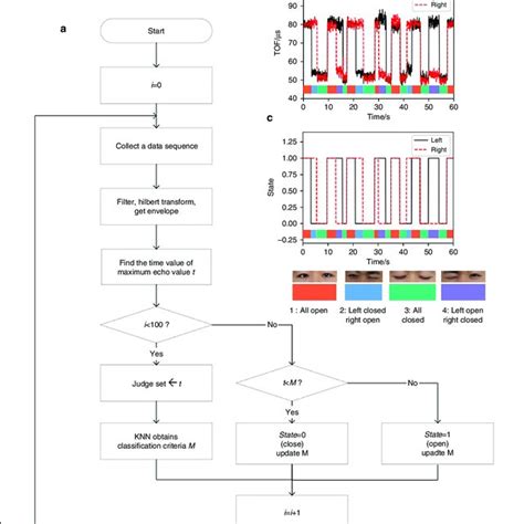 Real Time Monitoring Of Eye Blinking In One Minute A Algorithm Diagram Download Scientific